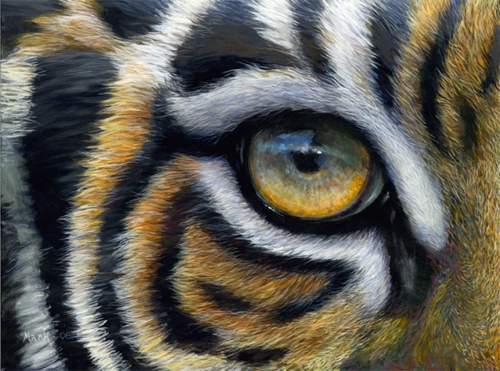 Tiger Eye - Laura Mark-Finberg