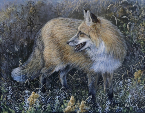 Red Fox Paintings by Laura Mark-Finberg