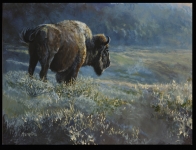 Morning Glow - Laura Mark-Finberg