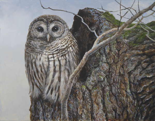 Home-Wildlife Artist Laura Mark-Finberg