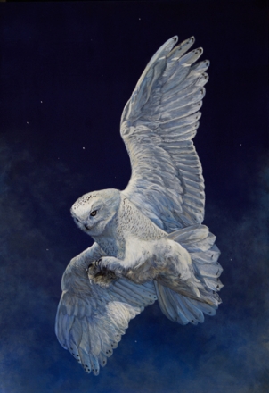 Home-Wildlife Artist Laura Mark-Finberg