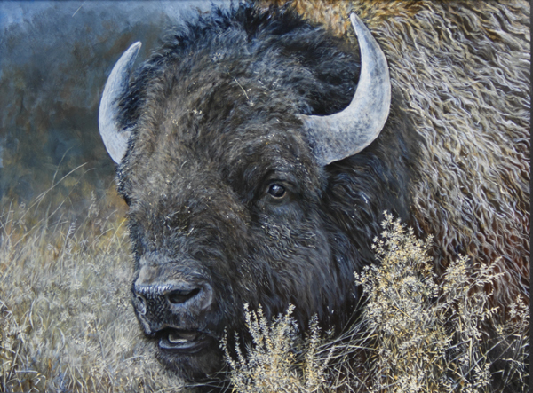 Home-Wildlife Artist Laura Mark-Finberg