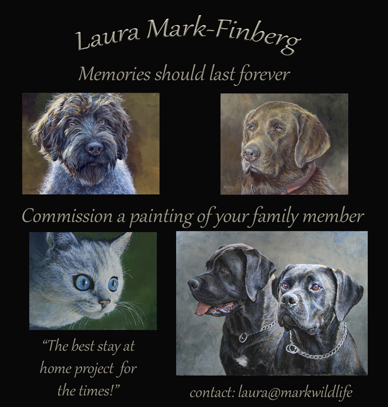 Home-Wildlife Artist Laura Mark-Finberg