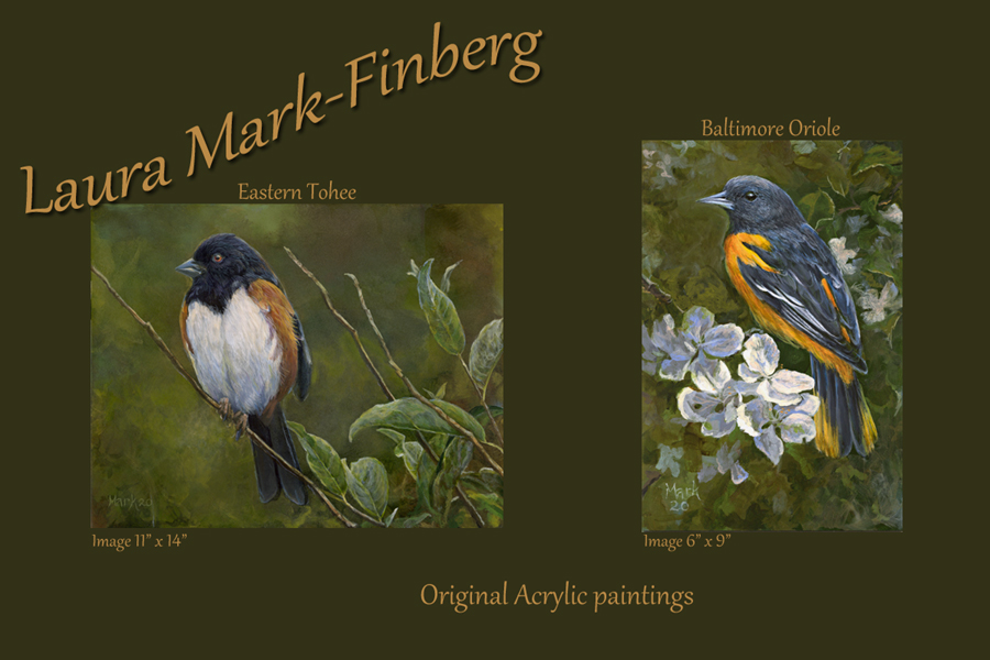Home-Wildlife Artist Laura Mark-Finberg