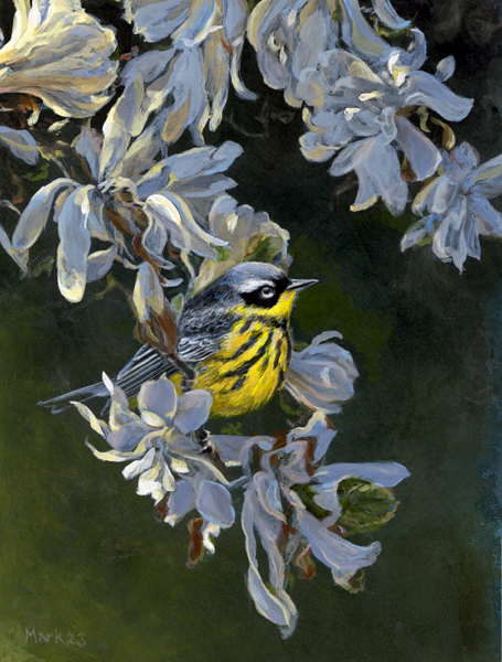 Home-Wildlife Artist Laura Mark-Finberg