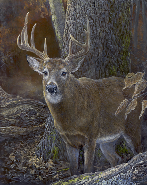 Home-Wildlife Artist Laura Mark-Finberg