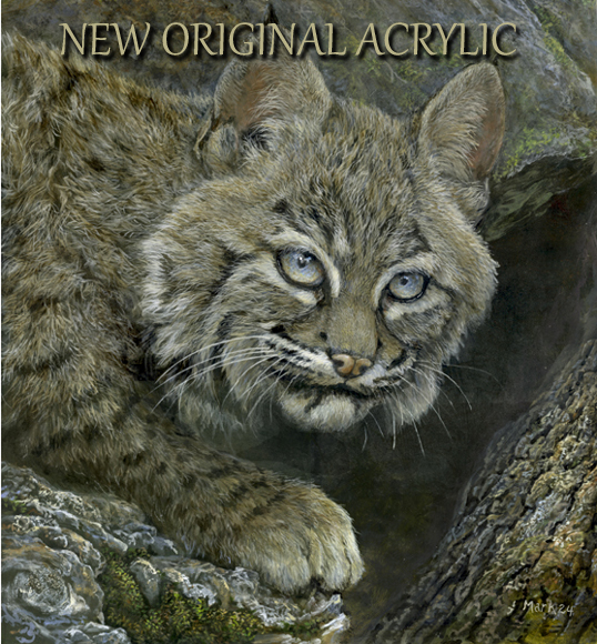 Home-Wildlife Artist Laura Mark-Finberg