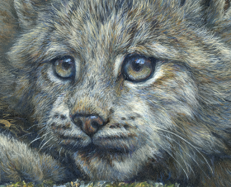 Home-Wildlife Artist Laura Mark-Finberg